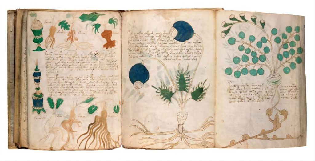 Inside the Voynich Manuscript: The Unsolved Codex